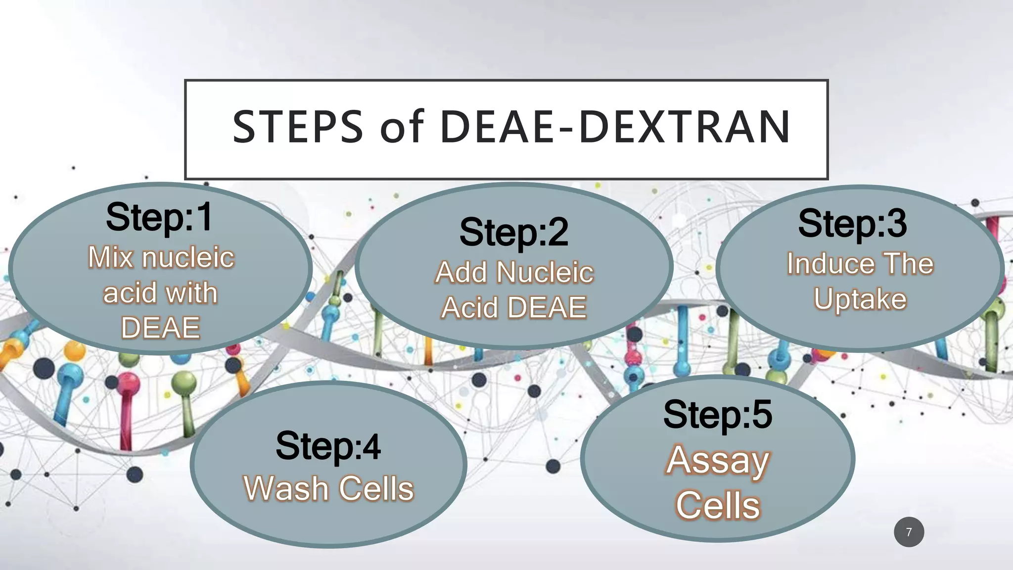 DEAE-Dextran method.pptx