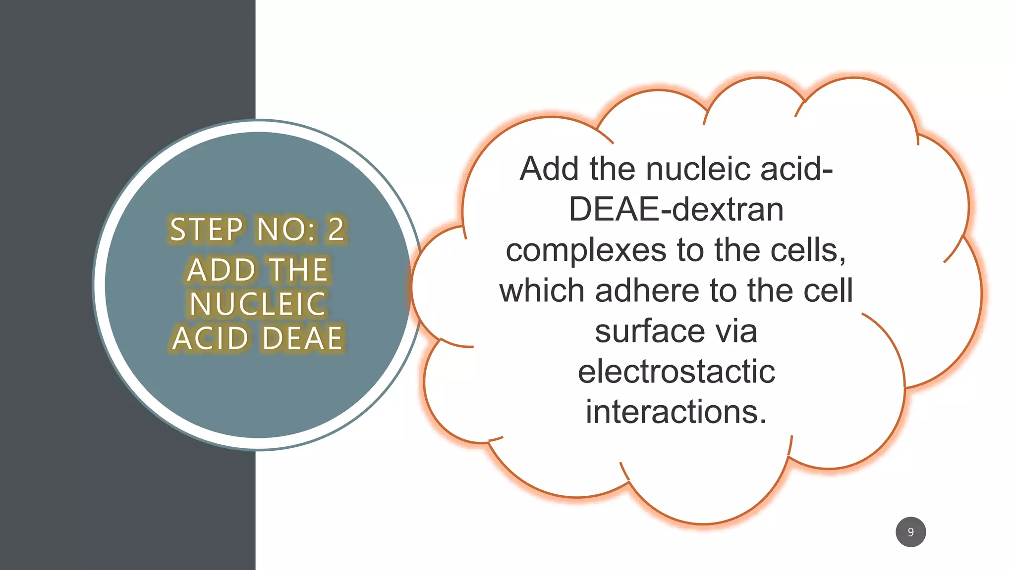 DEAE-Dextran method.pptx