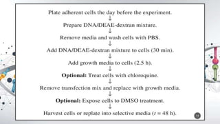 DEAE-Dextran method.pptx