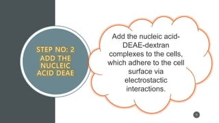 DEAE-Dextran method.pptx
