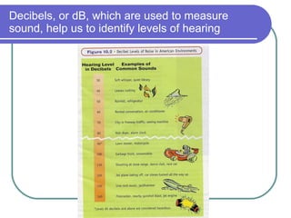 Deaf And Hard Of Hearing Presentation | PPT