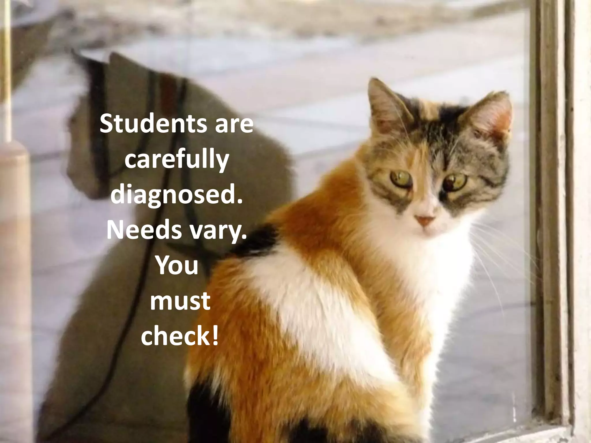 Deaf & hard of hearing students and the bagrut exam | PPT