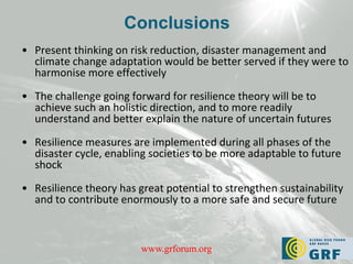 Progressing the Concept of Resilience in Risk Reduction and Disaster ...
