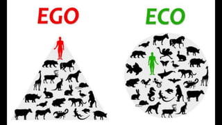 Dealing with ego at workplace | PPTX