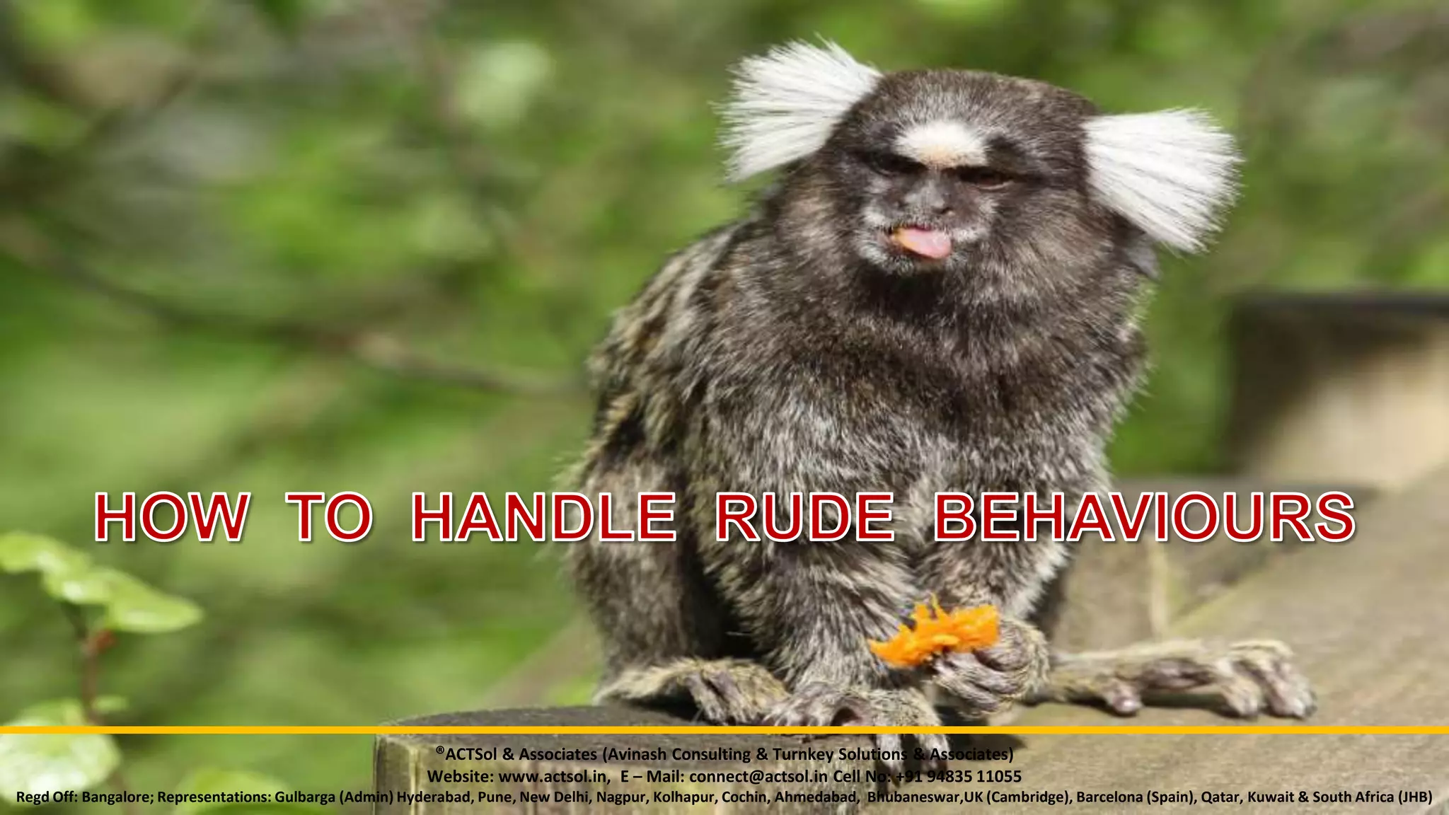 Dealing With Rudeness | PPTX