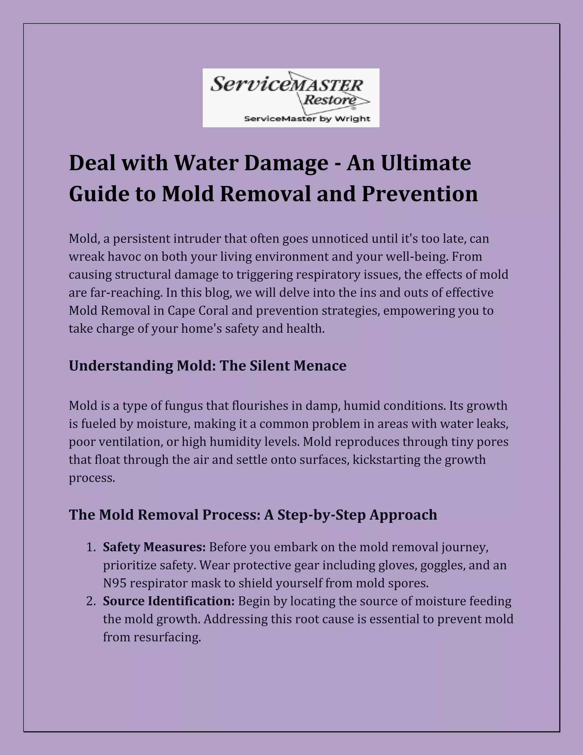 Deal with Water Damage - An Ultimate Guide to Mold Removal and ...