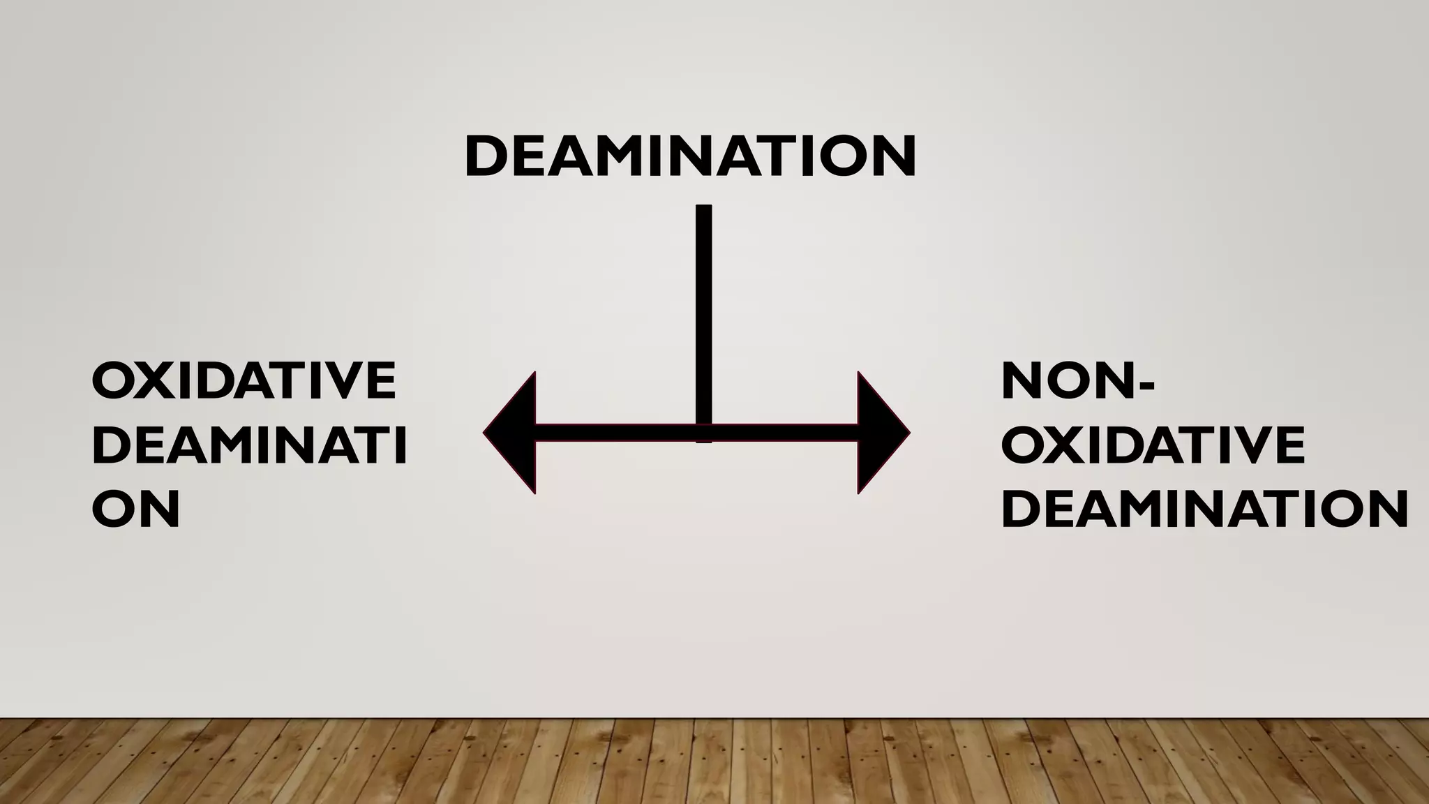 deamination - sayali jagtap.pdf