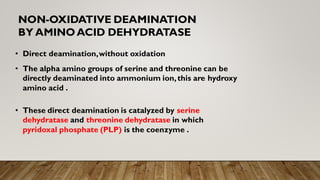 deamination - sayali jagtap.pdf