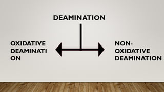 deamination - sayali jagtap.pdf