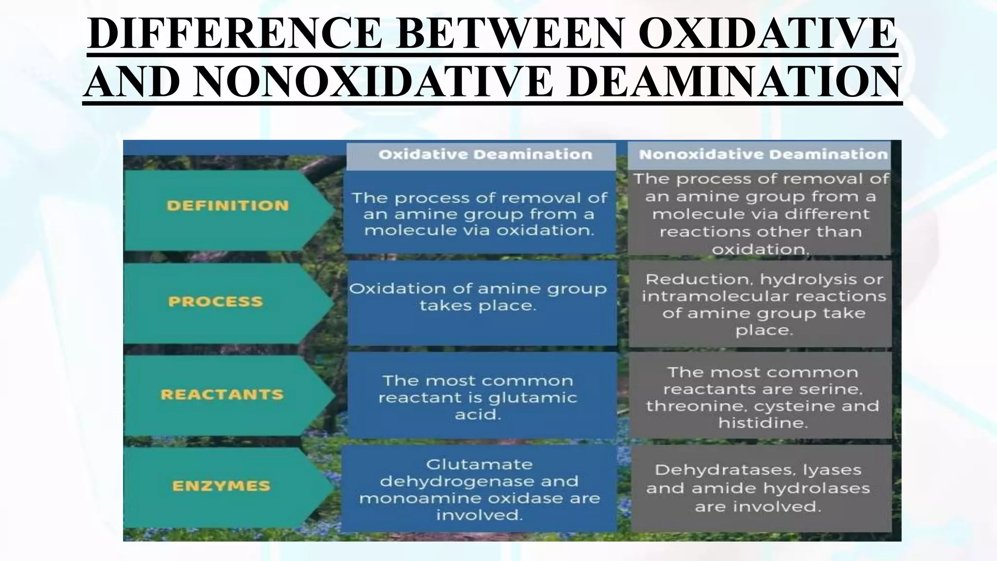 DEAMINATION AND DECARBOXYLATION | PPTX