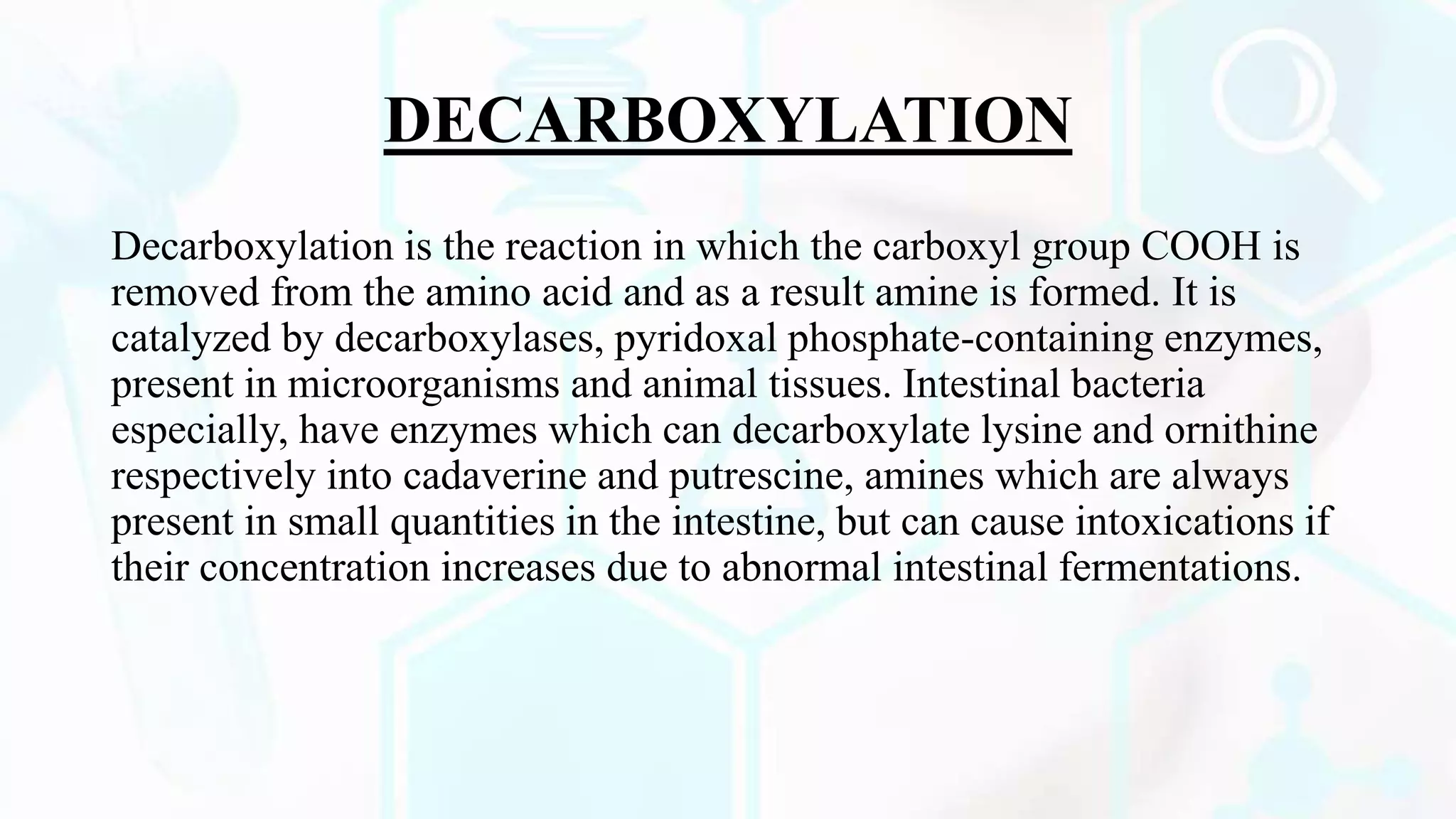 DEAMINATION AND DECARBOXYLATION | PPTX