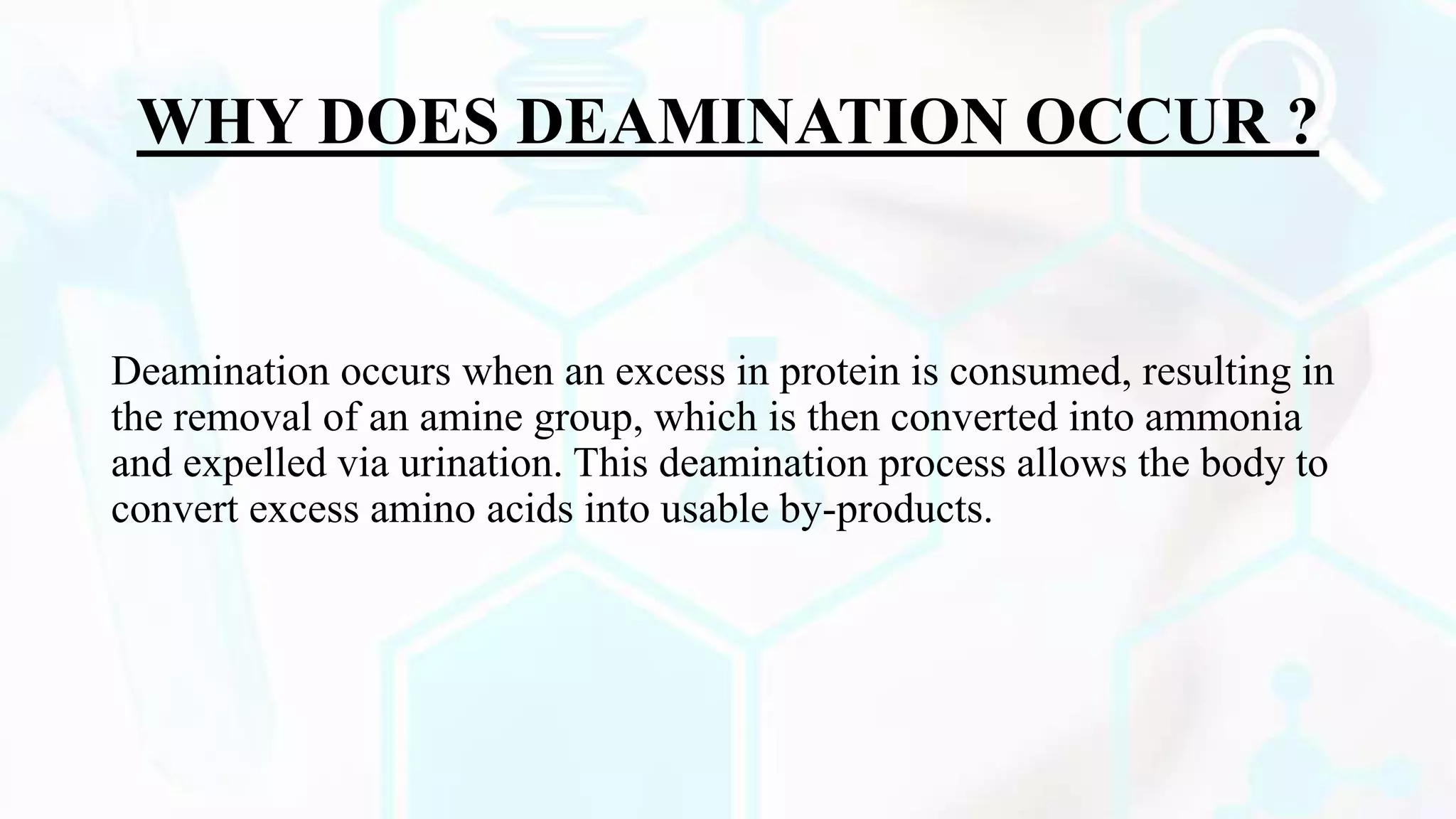 DEAMINATION AND DECARBOXYLATION | PPTX