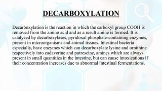 DEAMINATION AND DECARBOXYLATION | PPTX