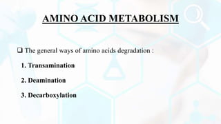DEAMINATION AND DECARBOXYLATION | PPTX | Chemistry | Science