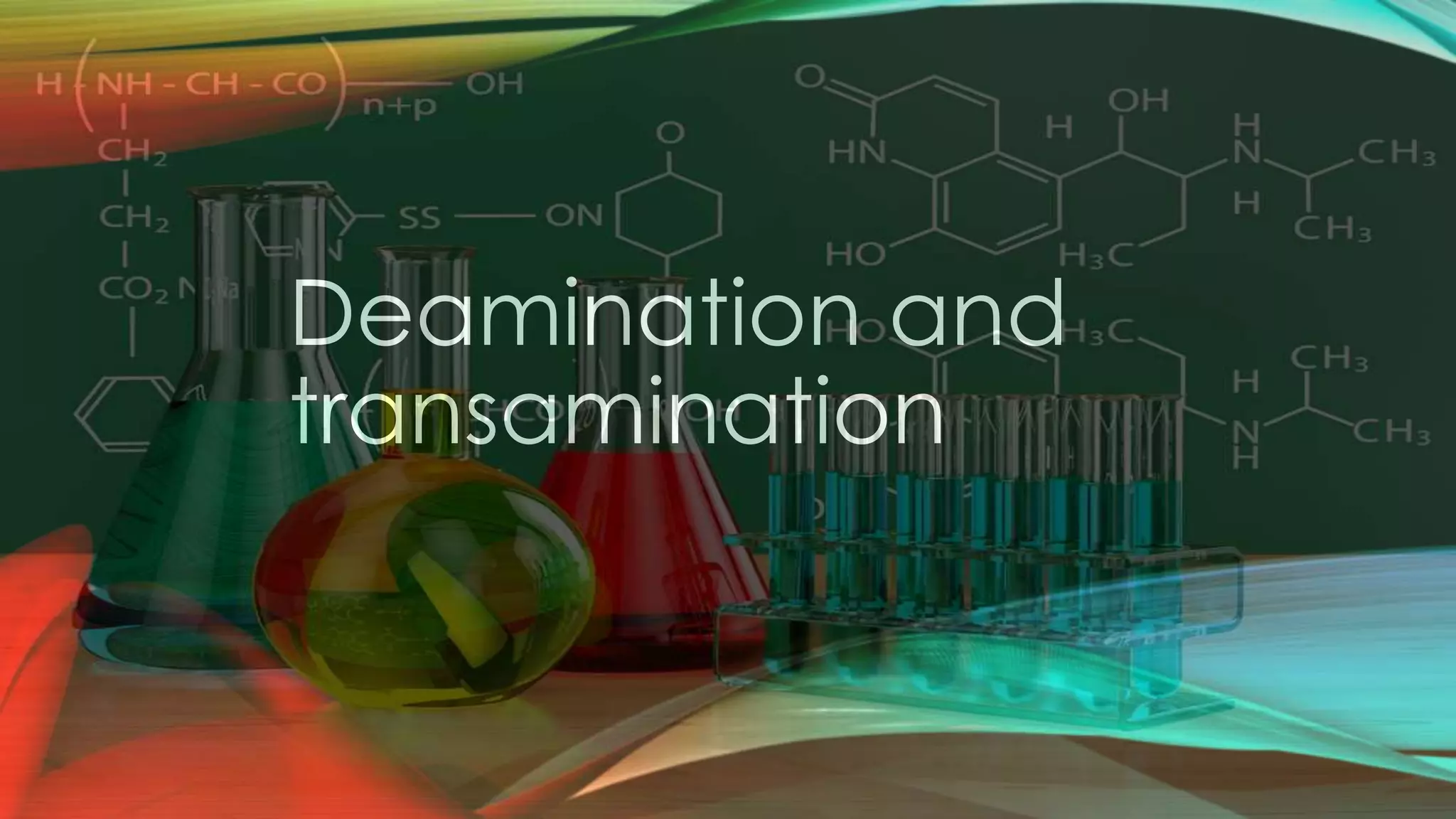 Deamination and transamination | PPTX