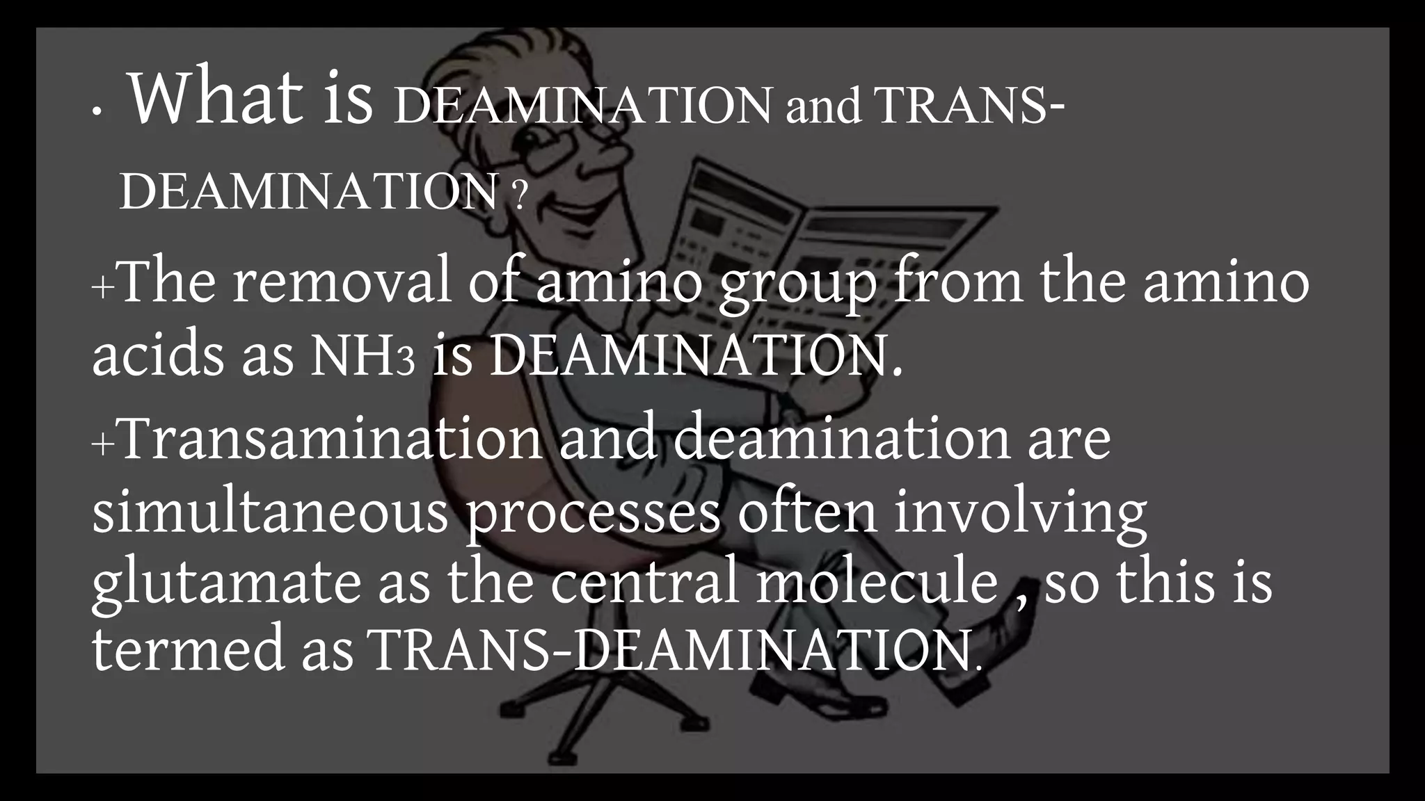Deamination and transamination | PPTX