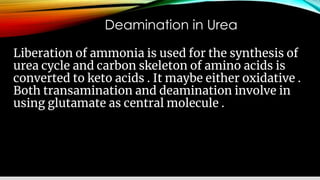 Deamination and transamination | PPTX