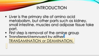 Deamination and transamination | PPTX