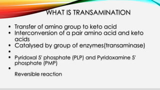 Deamination and transamination | PPTX