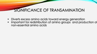 Deamination and transamination | PPTX