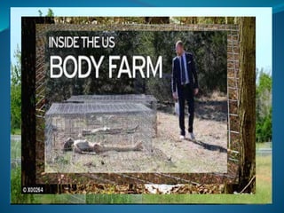 Forensic anthropology | PPTX