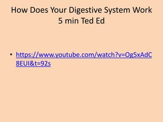 Dean r berry human body digestive system | PPT