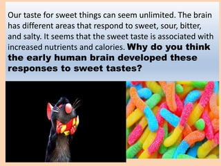 Dean r berry human body sensory system taste and smell | PPTX ...