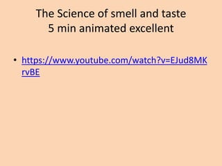 Dean r berry human body sensory system taste and smell | PPTX