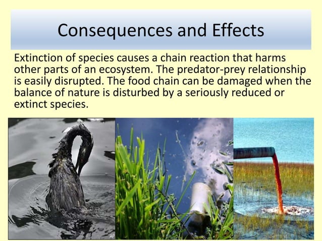 Dean r berry problems and solutions endangered species | PPT Dean r berry problems and solutions endangered species | PPT