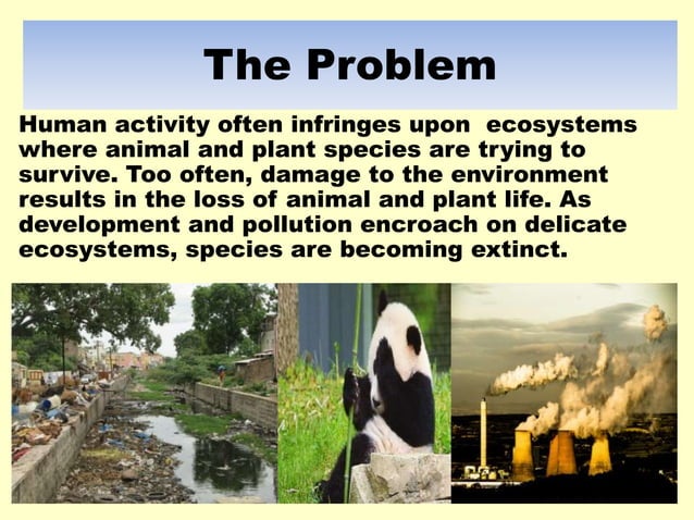 Dean r berry problems and solutions endangered species | PPT Dean r berry problems and solutions endangered species | PPT
