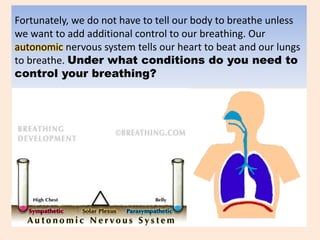 Dean r berry respiratory system revised 6 6-18 | PPTX