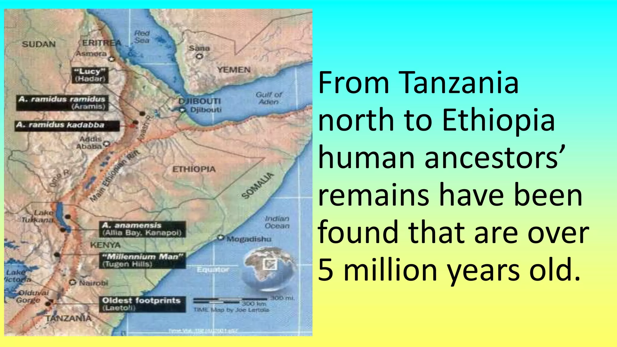 Dean r berry The Earliest Humans: Human Evolution from Hominids to ...