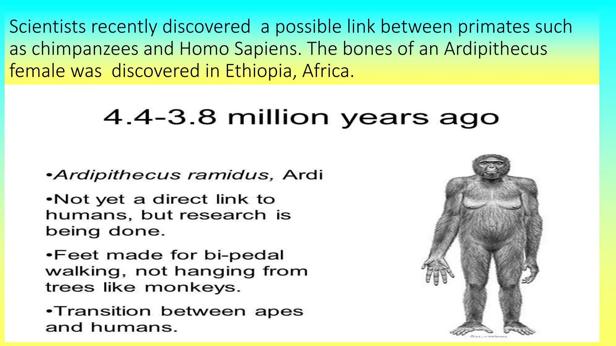Dean r berry The Earliest Humans: Human Evolution from Hominids to ...