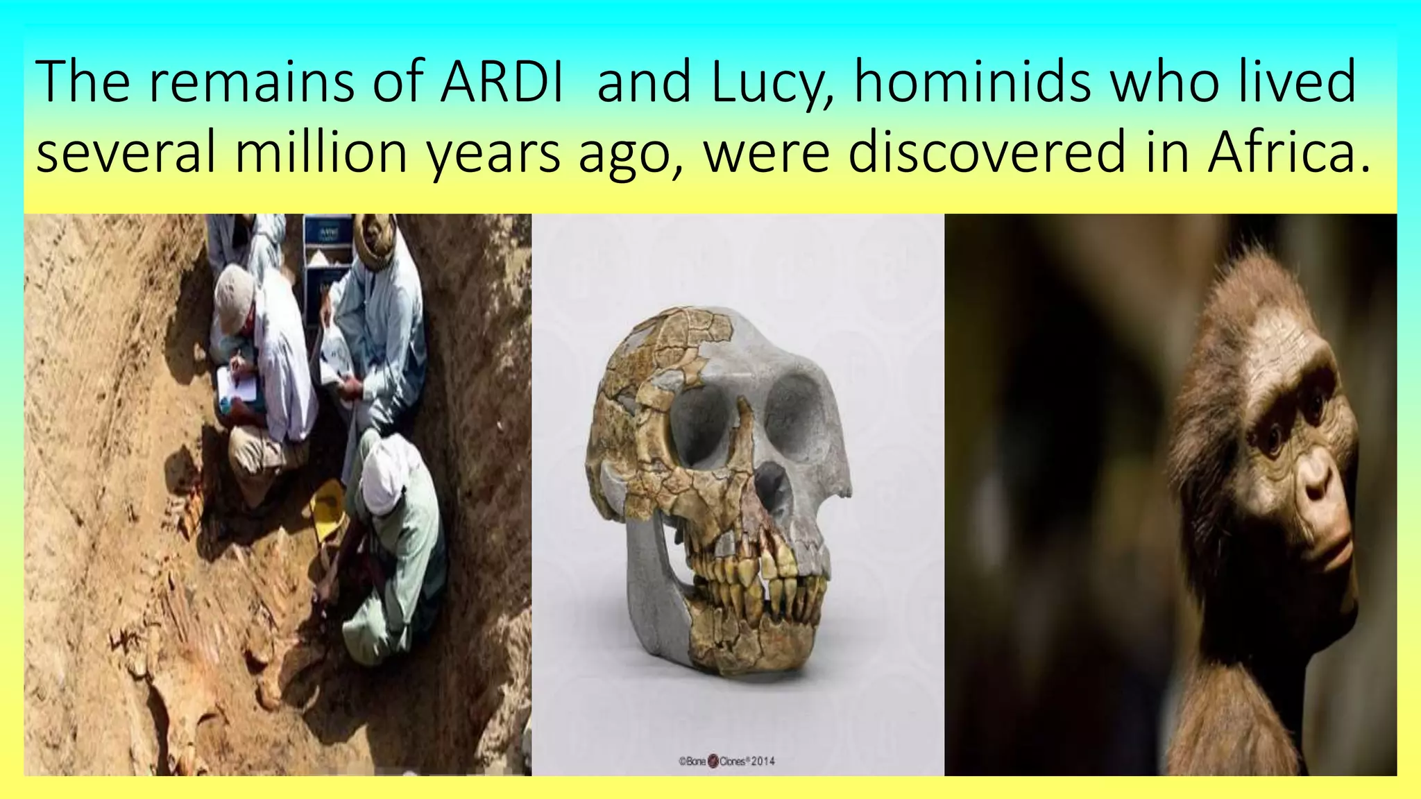 Dean r berry The Earliest Humans: Human Evolution from Hominids to ...