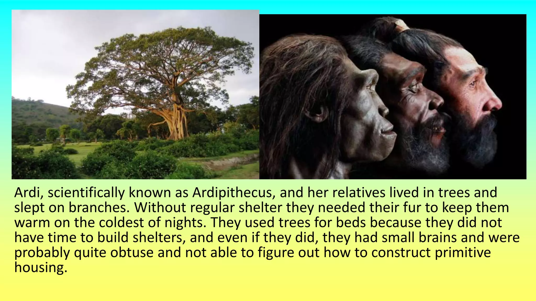 Dean r berry The Earliest Humans: Human Evolution from Hominids to ...