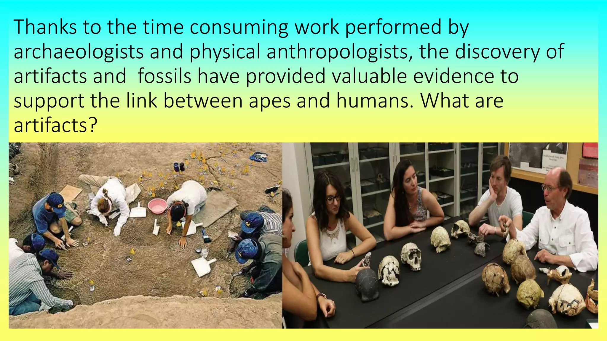 Dean r berry The Earliest Humans: Human Evolution from Hominids to ...