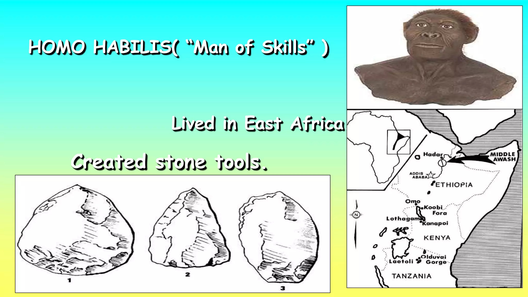 Dean r berry The Earliest Humans: Human Evolution from Hominids to ...