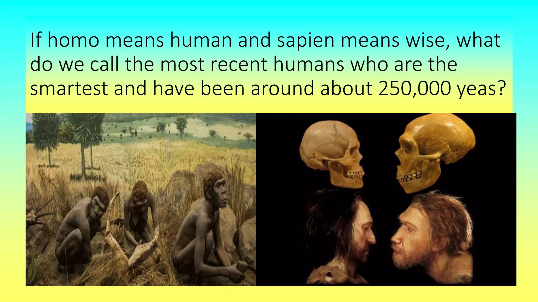 Dean r berry The Earliest Humans: Human Evolution from Hominids to ...