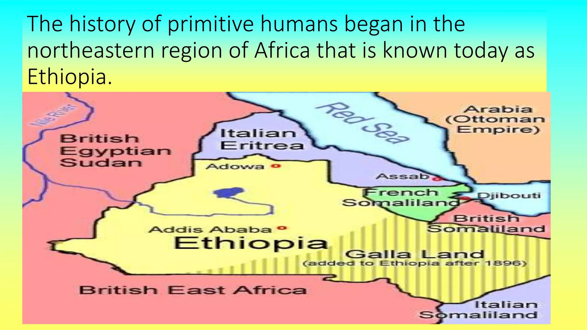 Dean r berry The Earliest Humans: Human Evolution from Hominids to ...