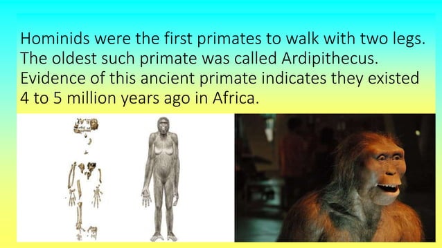 Dean r berry The Earliest Humans: Human Evolution from Hominids to ...