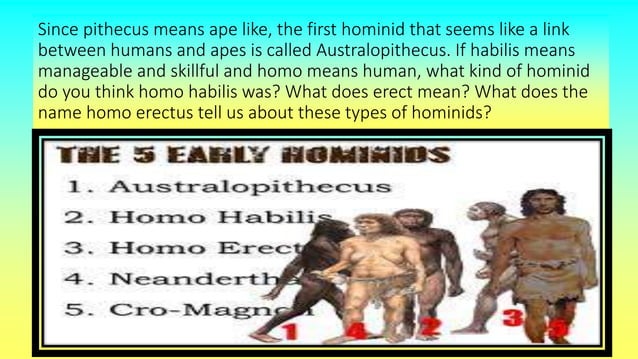 Dean r berry The Earliest Humans: Human Evolution from Hominids to ...