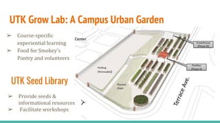 Grow, Evolve, Lead! Seed Libraries for Social & Environmental Change | PPT