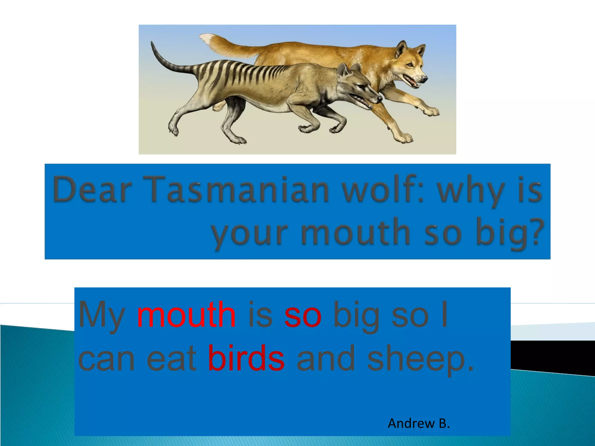 Dear Creatures: Animals Explain their Unique Features | PPT