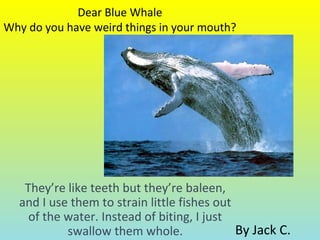 Dear Creatures: Animals Explain their Unique Features | PPT