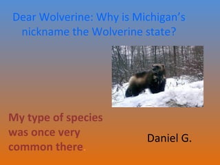 Dear Creatures: Animals Explain their Unique Features | PPT