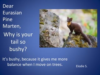 Dear Creatures: Animals Explain their Unique Features | PPT