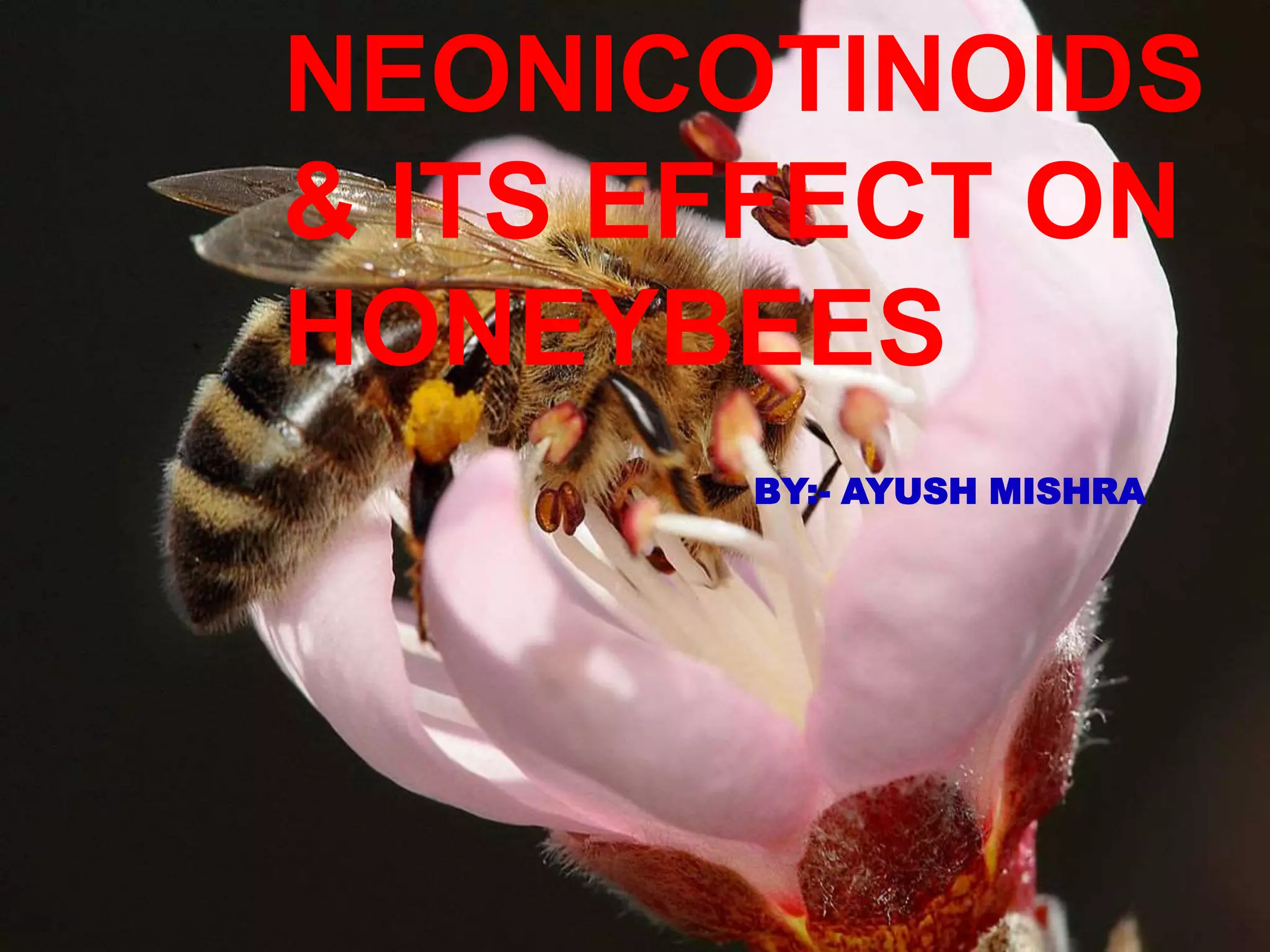 NEONICOTINOIDS & ITS EFFECT ON HONEY BEES | PPT | Agriculture | Industries