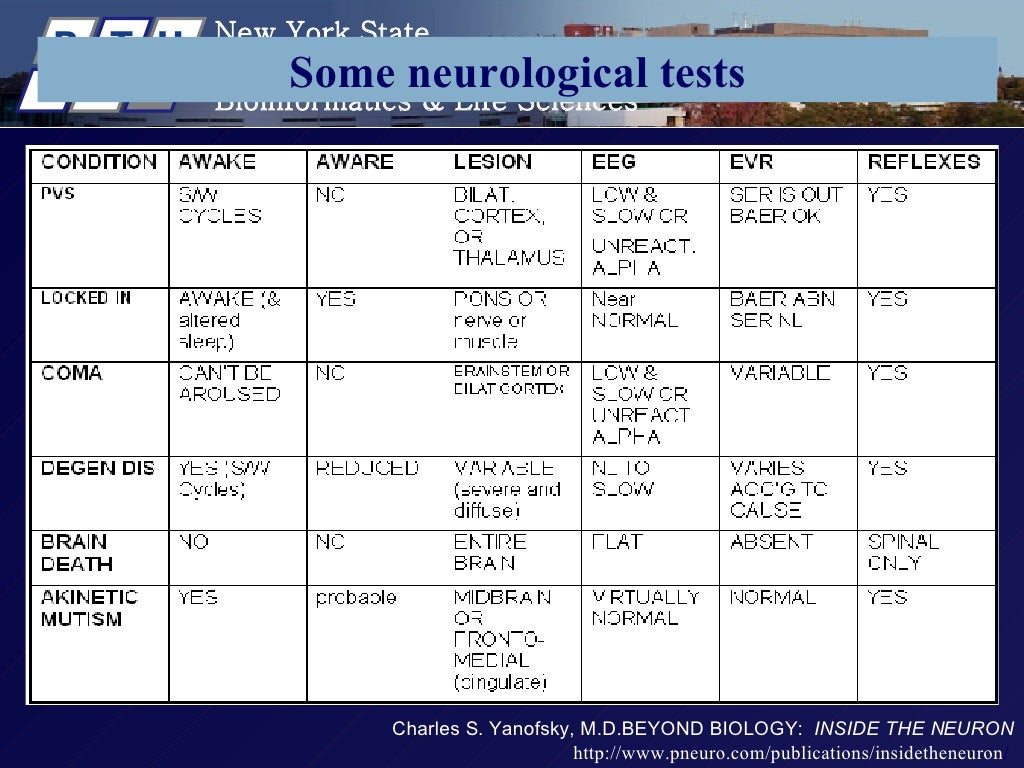 neurological-exam