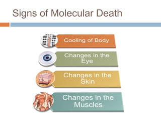 DEATH AND TYPES.ppt