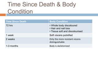 DEATH AND TYPES.ppt